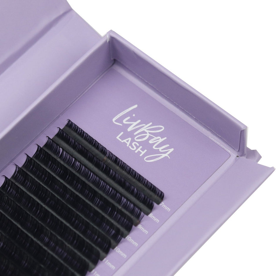 Lash Extensions – Sassy Lash Supplies